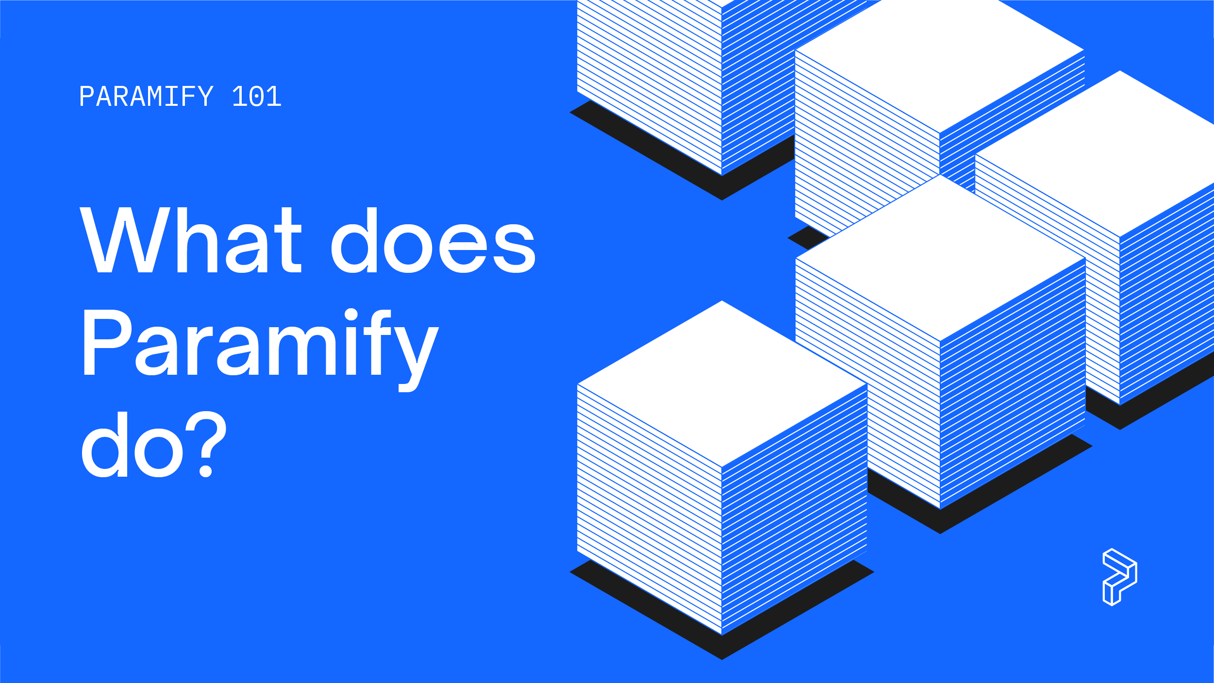 What Does Paramify Do?